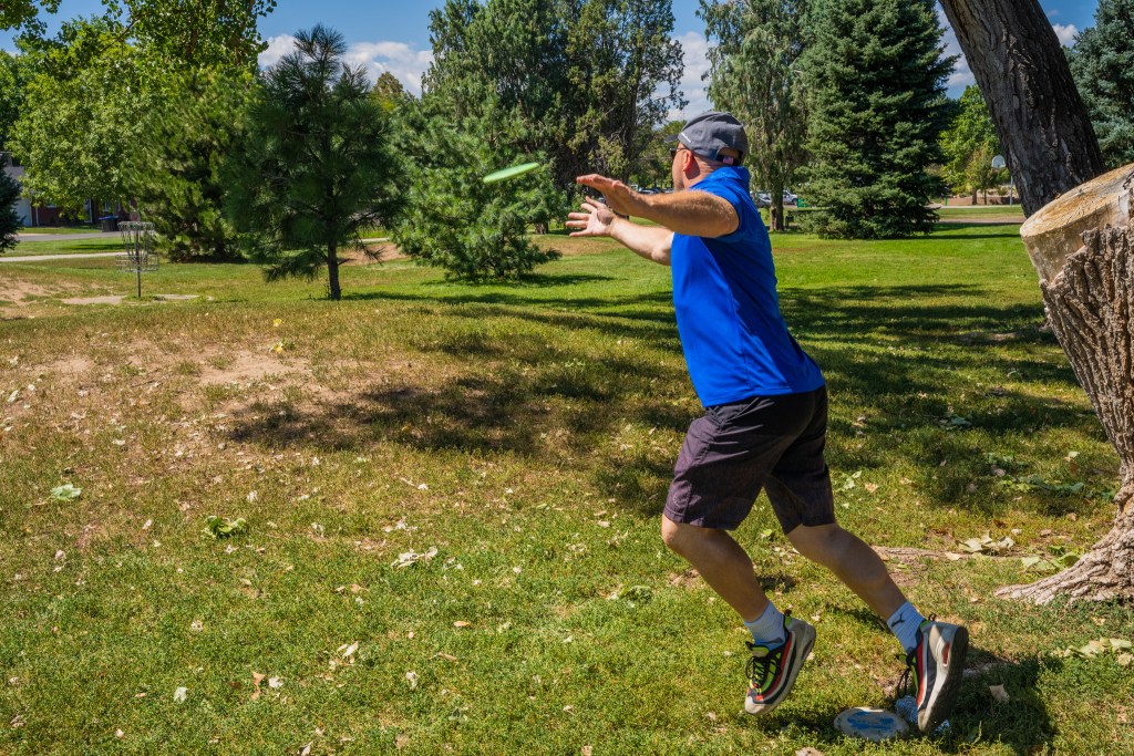 Disc Golf Mania: Gotta Go, Gotta Throw