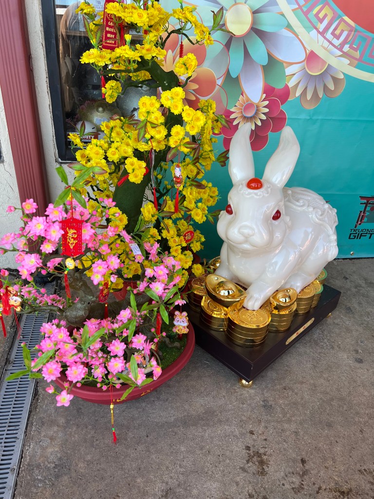 Year of the Rabbit Brings Luck to Denver - Bucket List Community Cafe